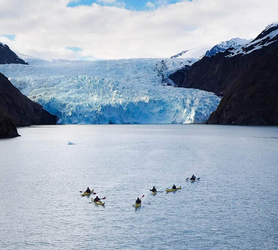 Paddle Boat Tour & Kayak - Seward, Alaska | Adventure Sixty North