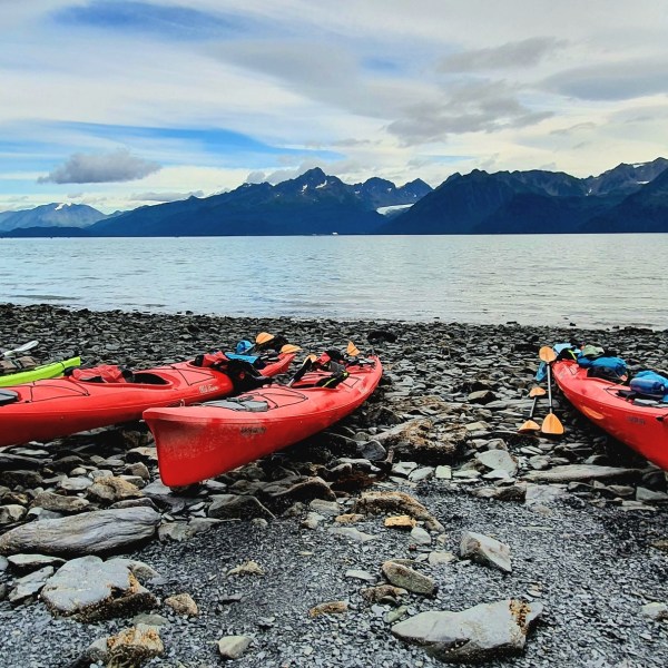 Great Lunch Choices - Seward, Alaska | Adventure Sixty North